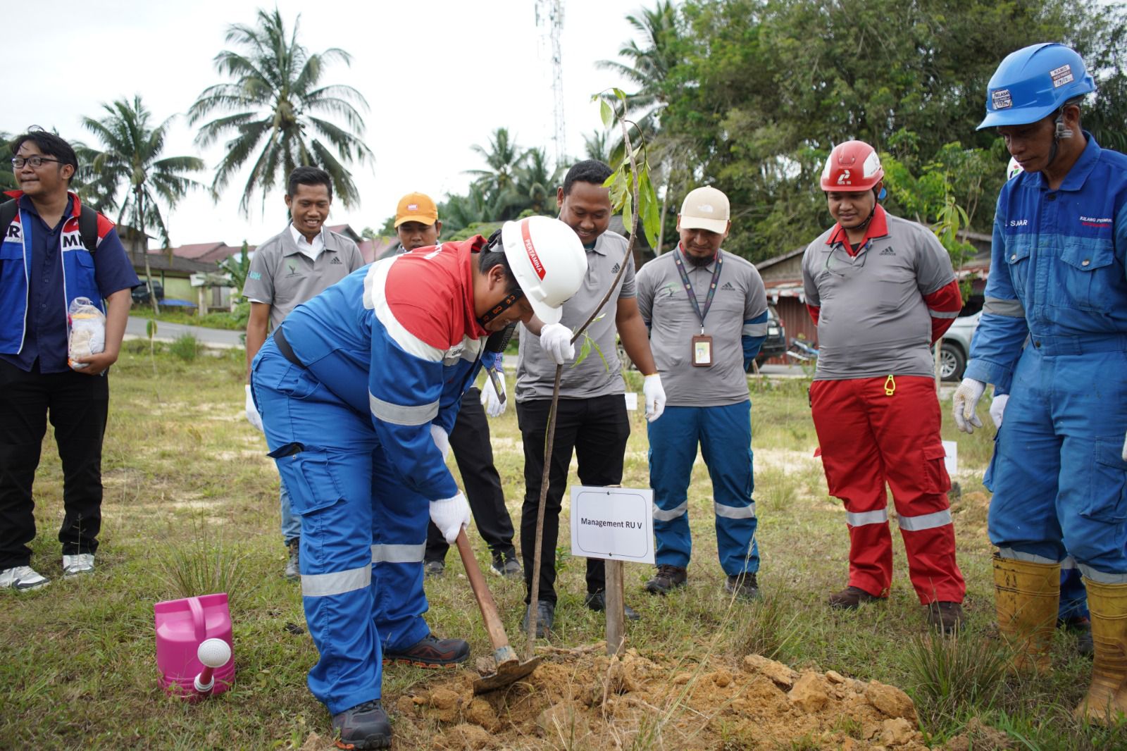 Tanam 200 Pohon di Jalur Pipa, Cara Kilang Pertamina Unit Balikpapan ...